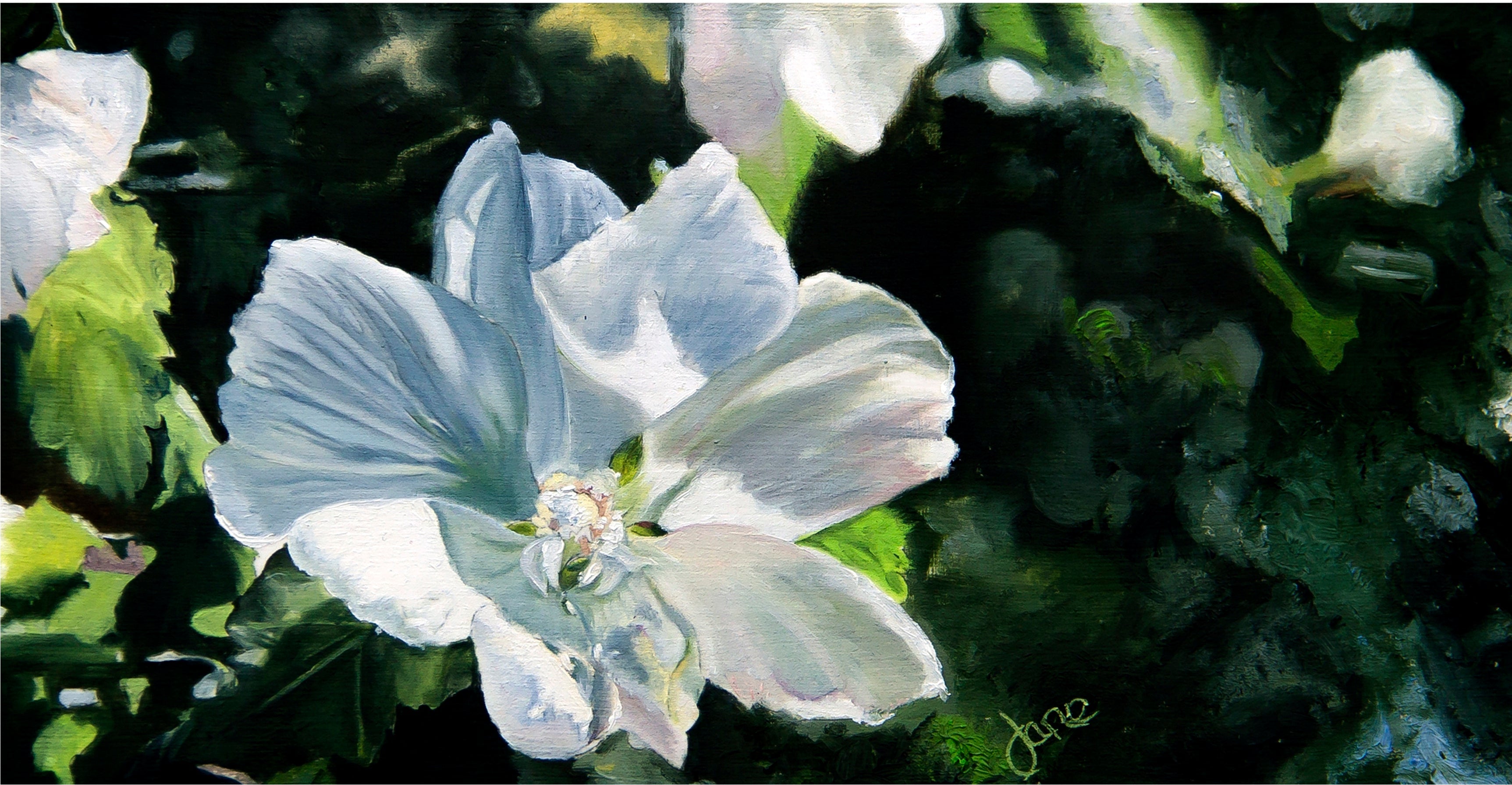 White Rose of Sharon – Tooele County Art